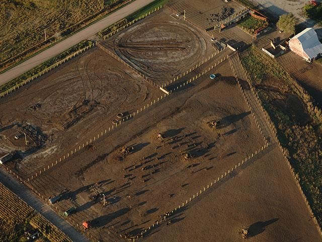 CAFOs lose environmental exemption - AgriAmerica