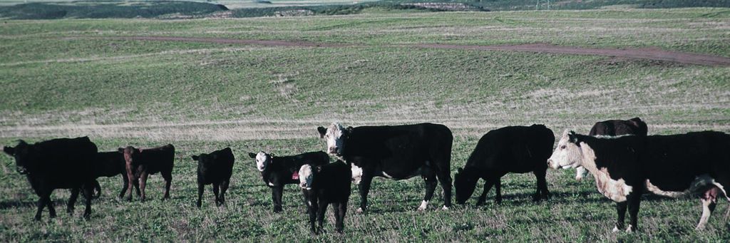 Colorado State University among USDA Conservation Innovation Grant ...