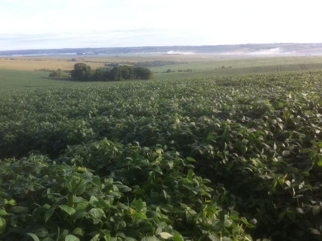 Historic floods in southern Brazil washing out soybeans - AgriAmerica