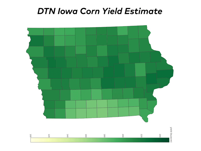 Iowa could set statewide corn yield record of 205 BPA in 2024 - AgriAmerica