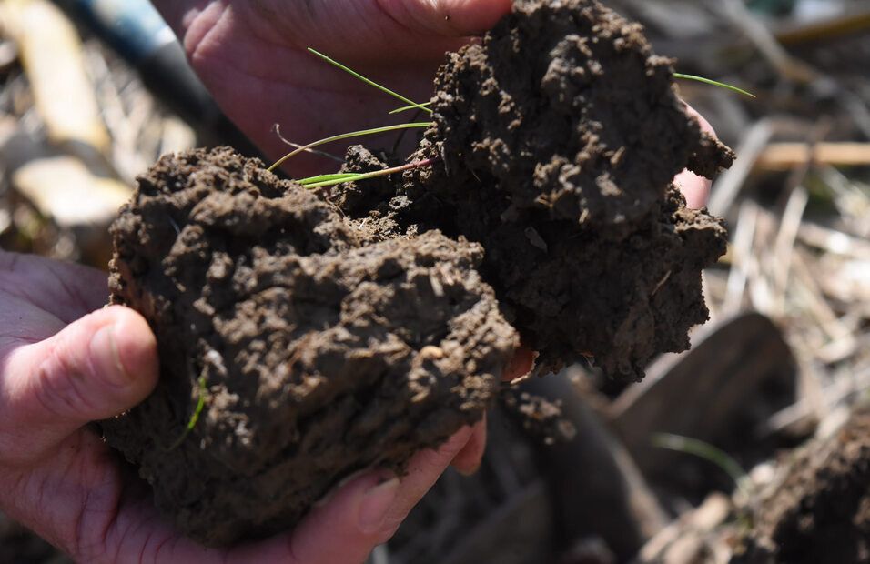 Free soil sampling program available for Indiana farmers - AgriAmerica