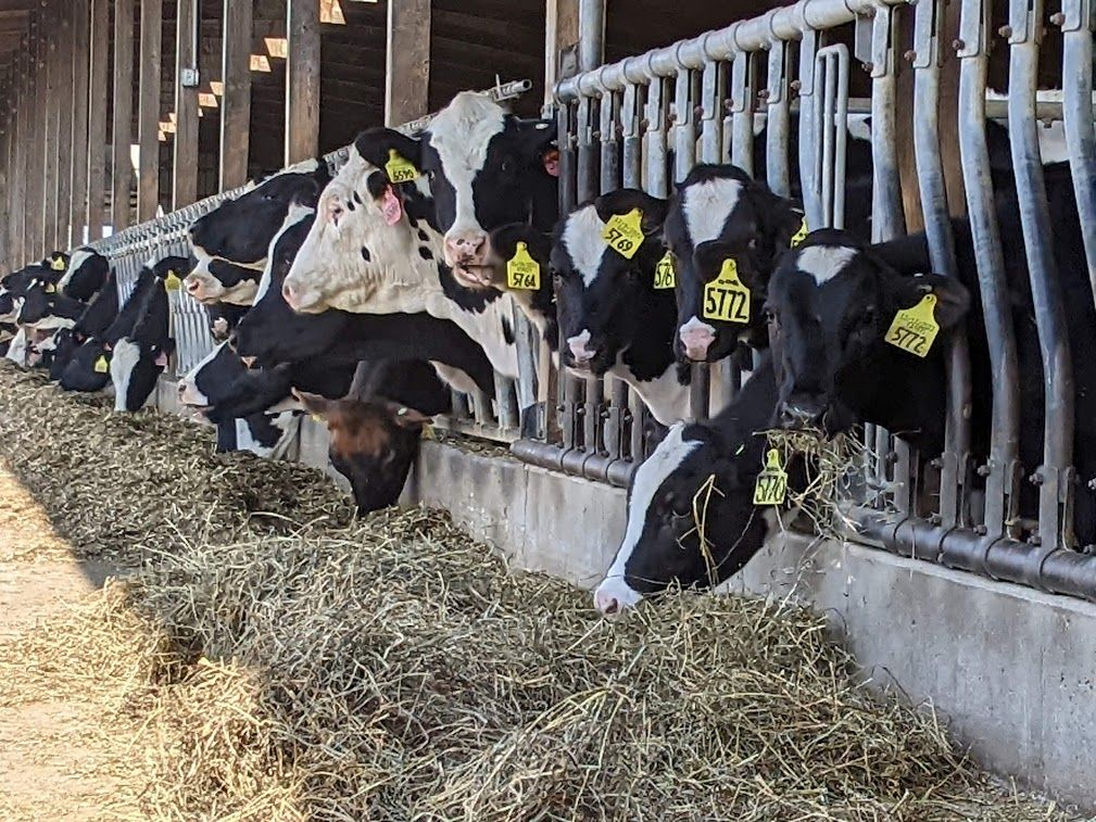 Elanco enters agreement with Medgene to commercialize highly pathogenic ...