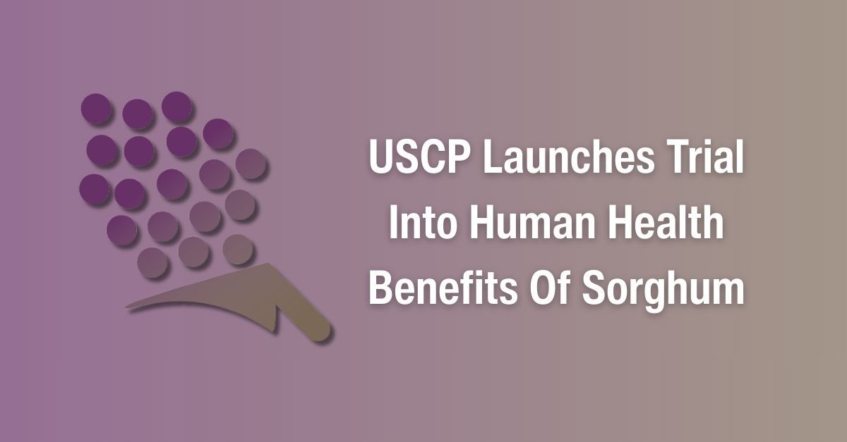 USCP launches trial into human health benefits of sorghum - AgriAmerica