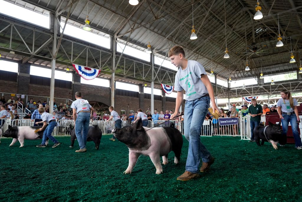 New report highlights major economic impact of fairs and fairgrounds on ...